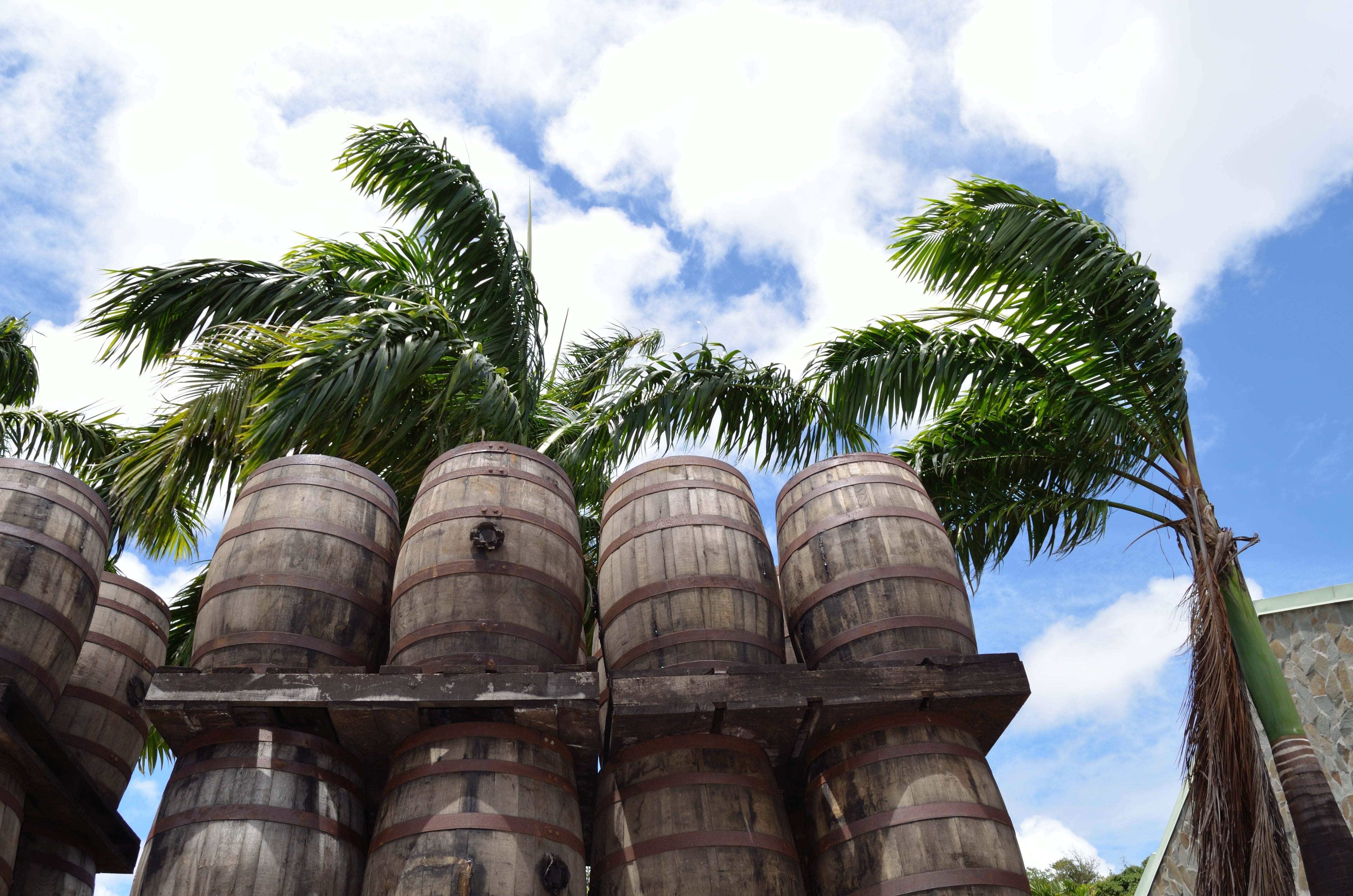 Rum – Whiskyviking